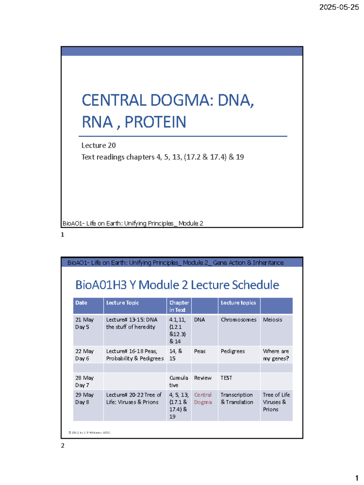 BioA01H3 Y Lecture 20: Central Dogma - DNA, RNA, and Protein - Studocu
