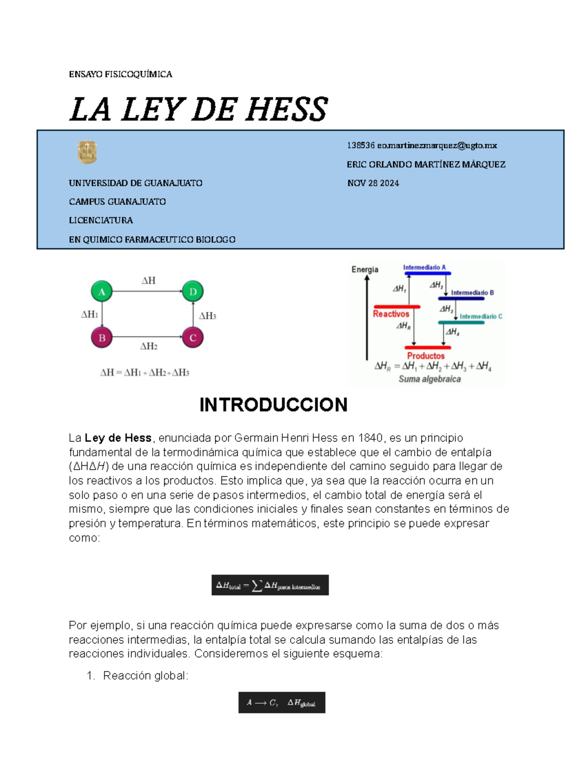 Ley de Hess Eric Orlando - ENSAYO FISICOQUÍMICA LA LEY DE HESS 138536 ...