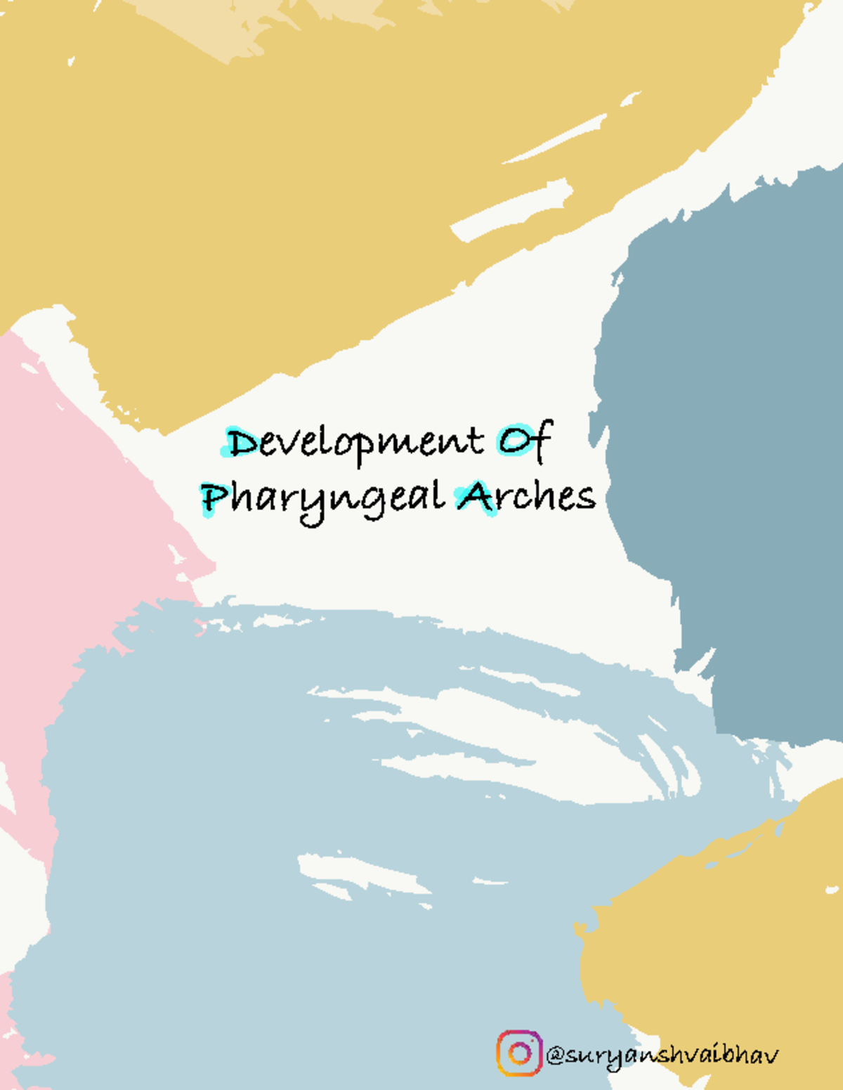 Dev of Pharyngeal Arches - Lecture Notes by Dr. Ashwini - Studocu