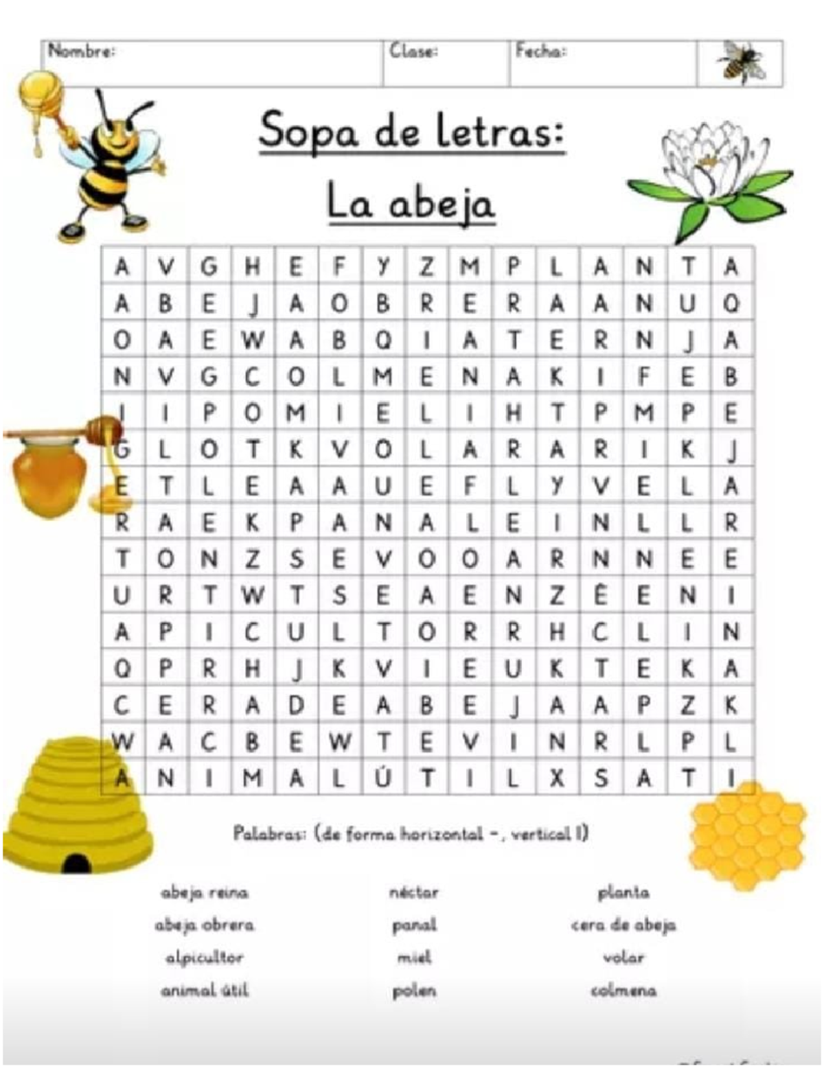 Sopa de letras de abejas - Español - Nombre: Clase: Fecha: Sopa de ...