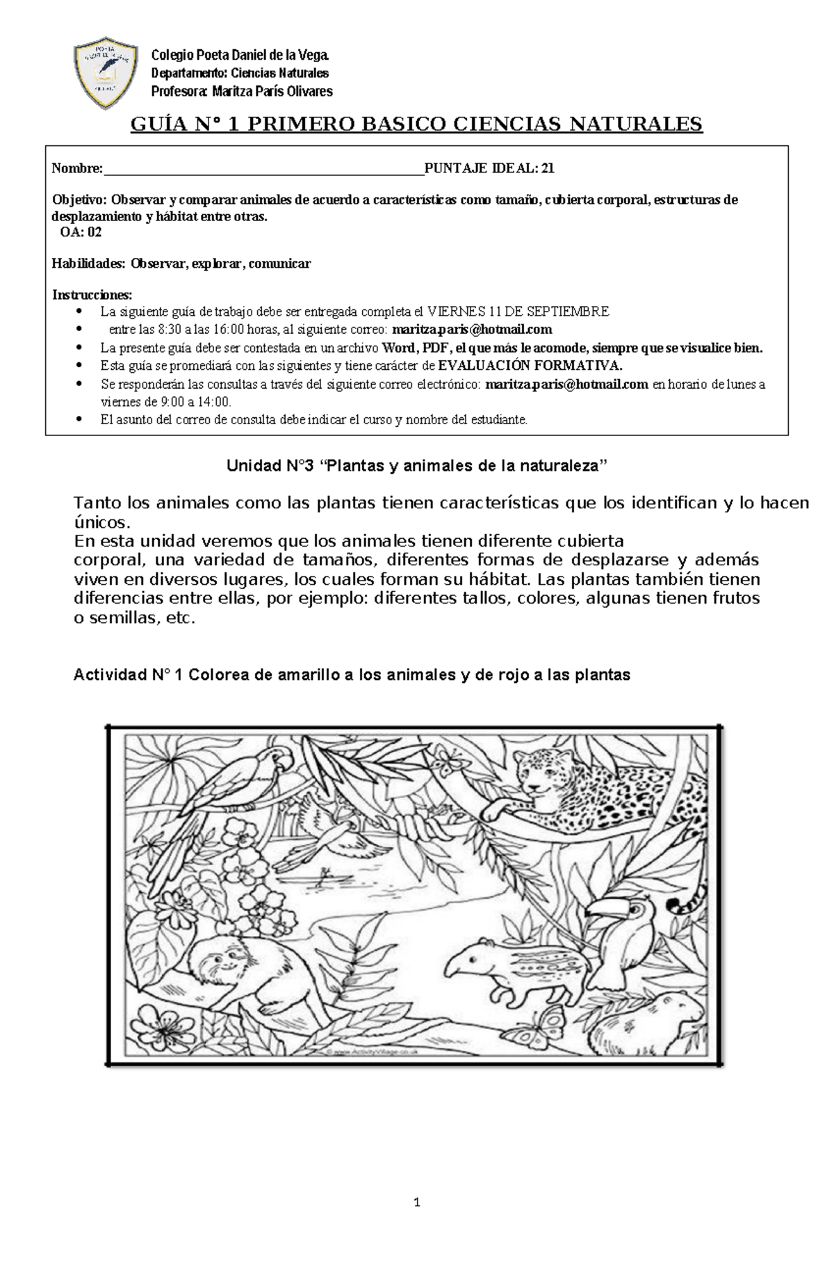 Guía 1: Ciencias Naturales 1° Básico - Observación de Animales y ...