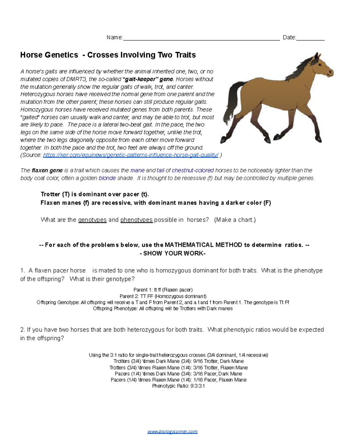 Genetics Practice - Horses: DMRT3 & Flaxen Trait Analysis - Studocu