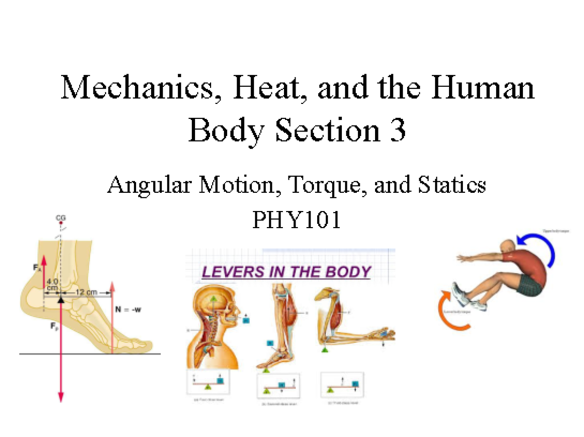 PHY101 Chapter 8 - Mechanics, Heat, and the Human Body Section 3 ...