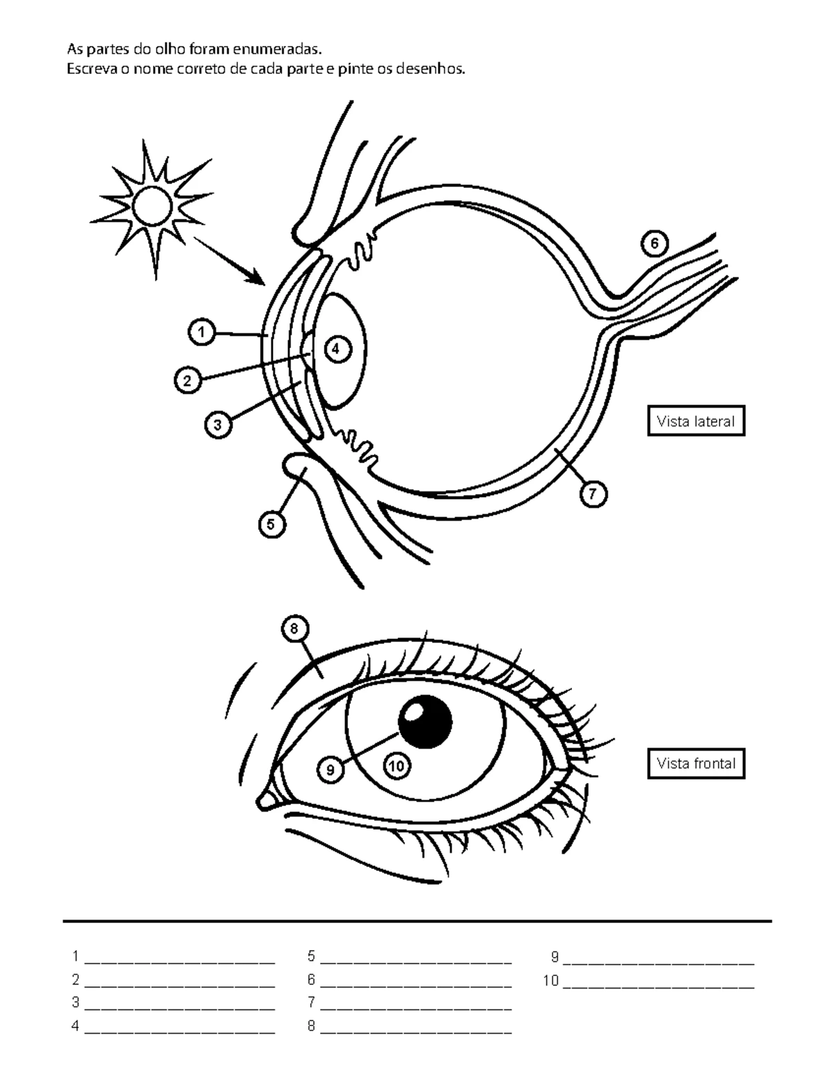 Atividade de Ciências: O Solo - 4º e 5º Ano - Studocu