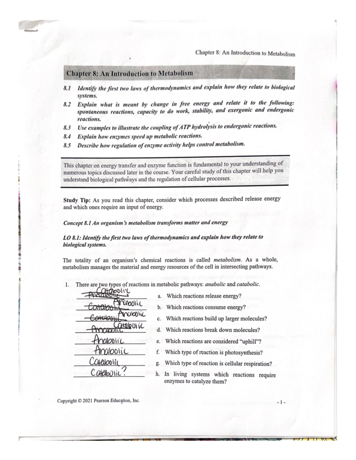 Chap 8 study material - textbook questions for chapter 8 of biology 1 ...