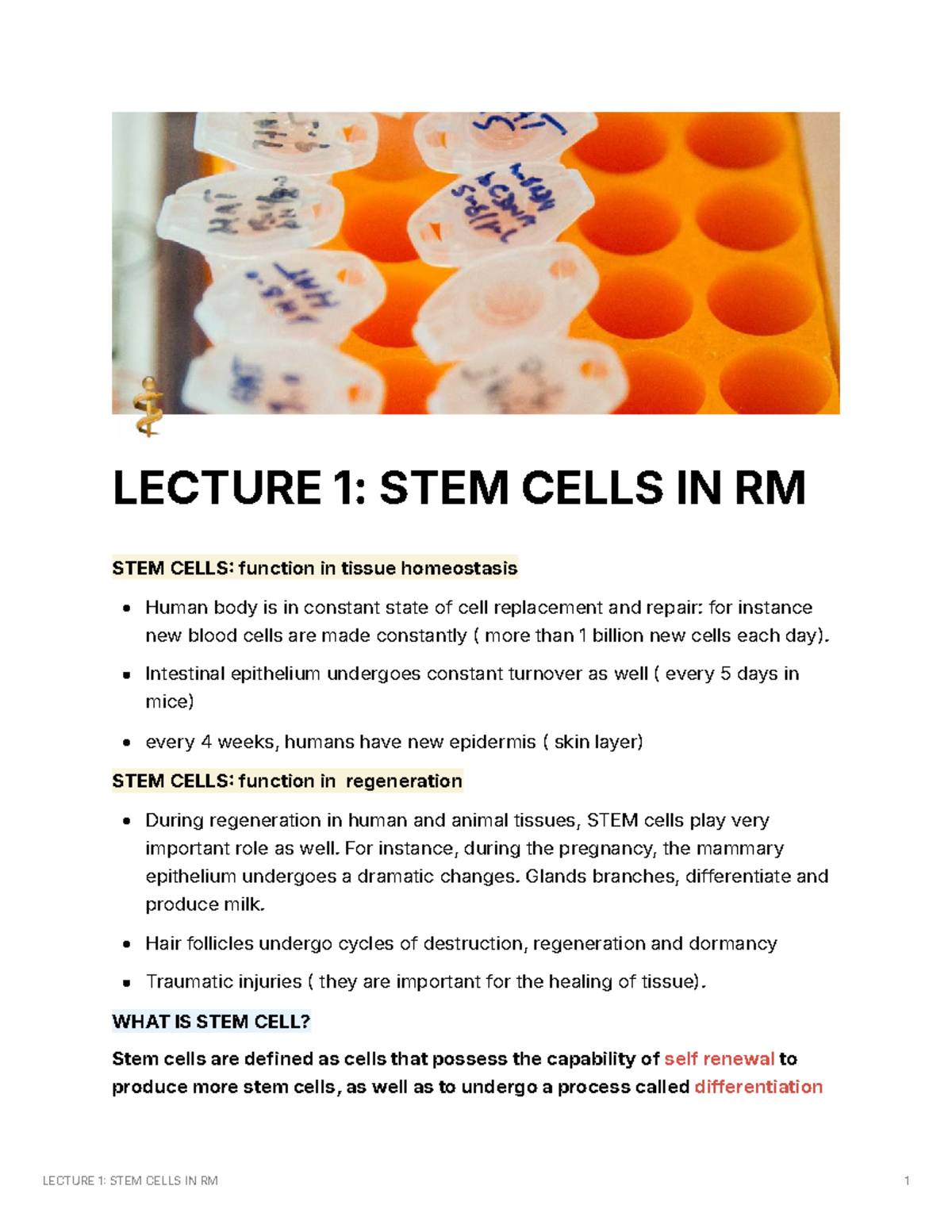 LECTURE 1: STEM CELLS IN RM - Functions and Applications - Studeersnel