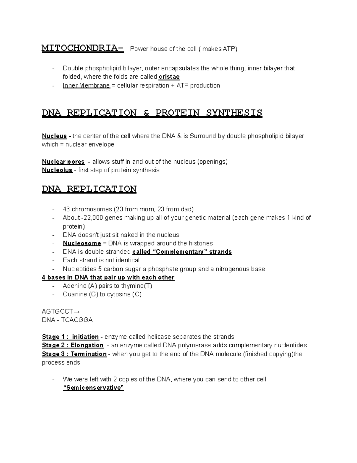 DNA Replication & Protein Synthesis Overview - ANAT 101 Notes - Studocu