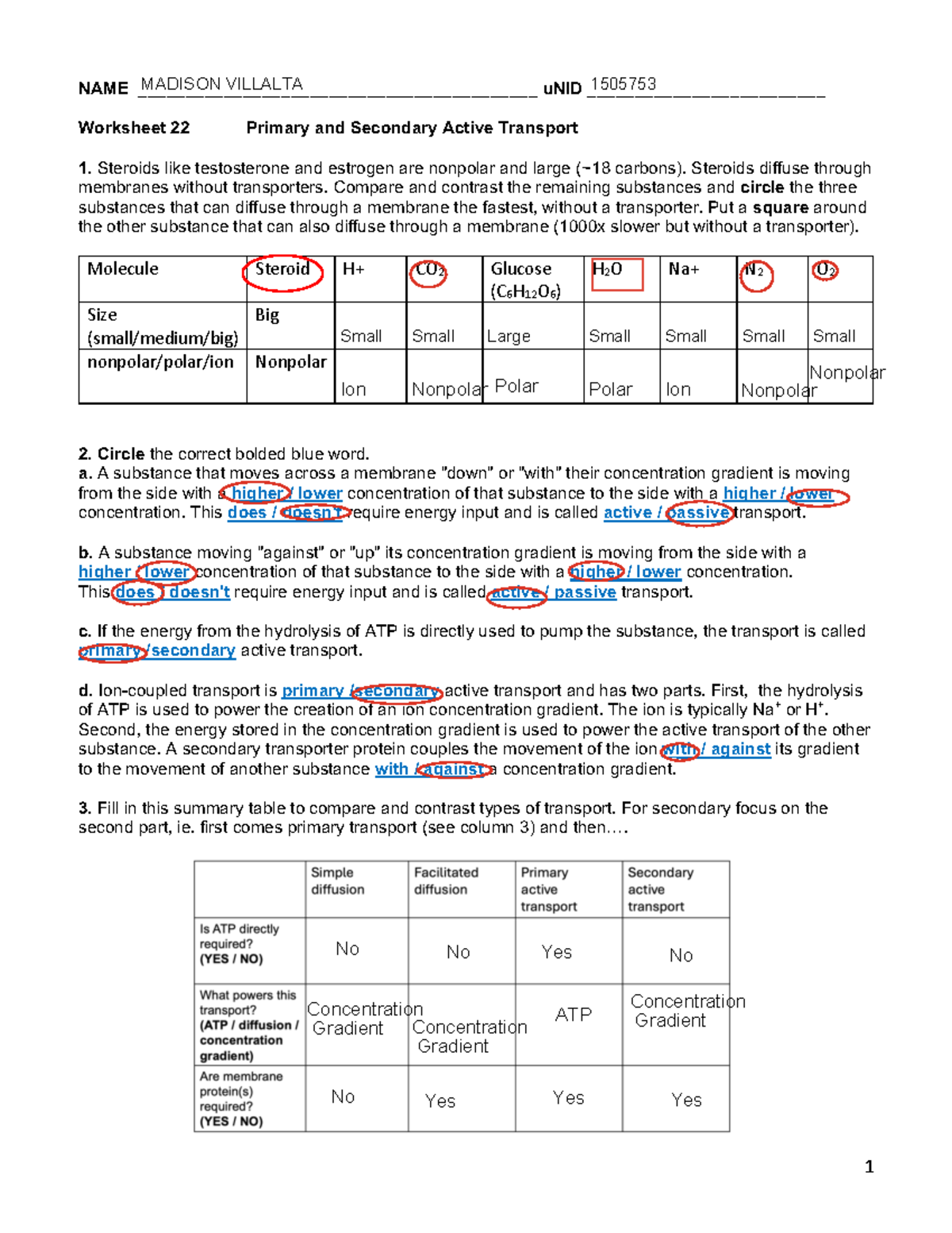 Worksheet 22: Primary & Secondary Active Transport Analysis - Studocu