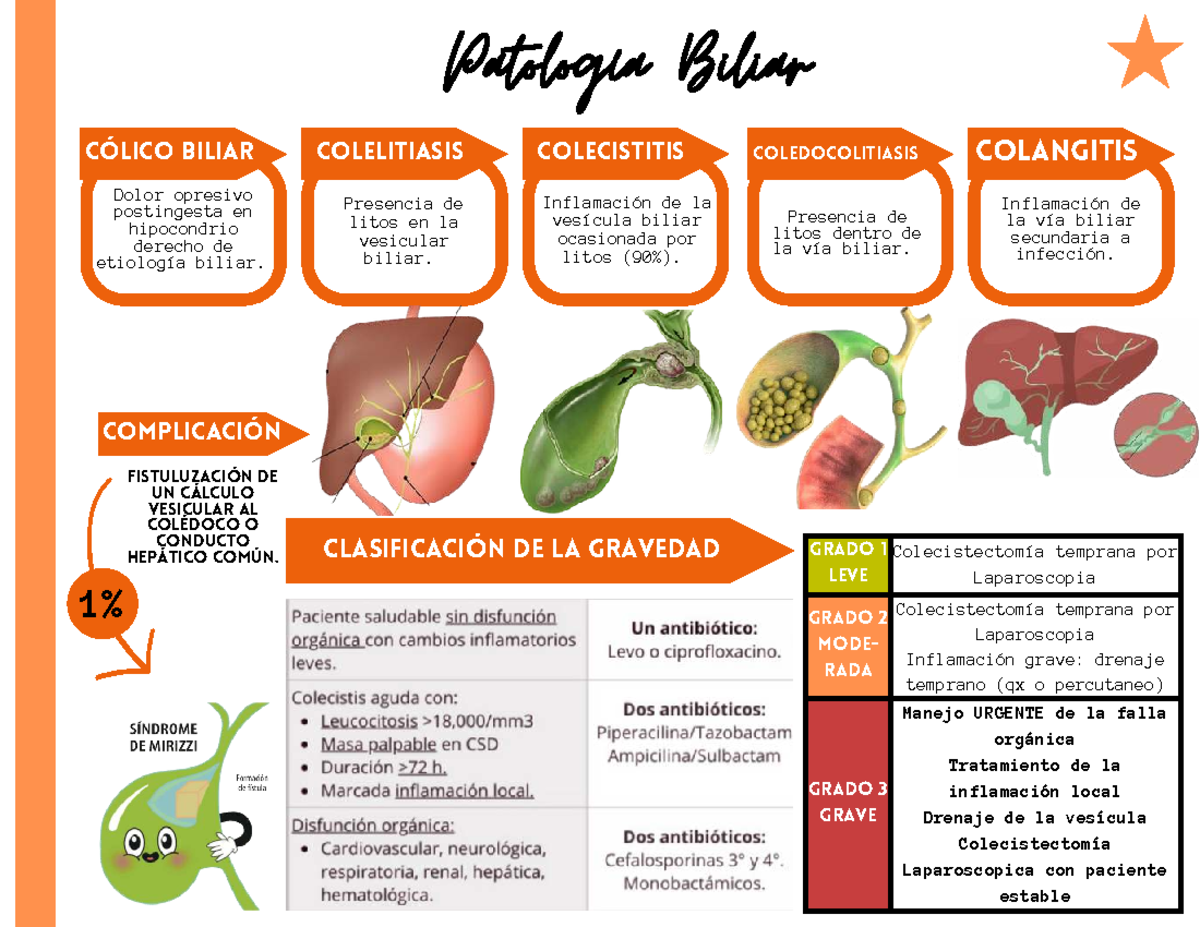 Resumen de Patología Biliar: Cólico Biliar y Colelitiasis - Studocu