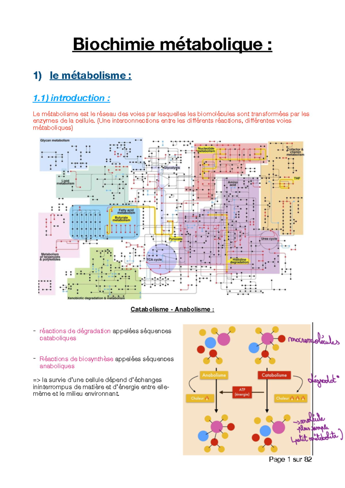 Biochimie métabolique - Biochimie métabolique : 1) le métabolisme : 1 ...