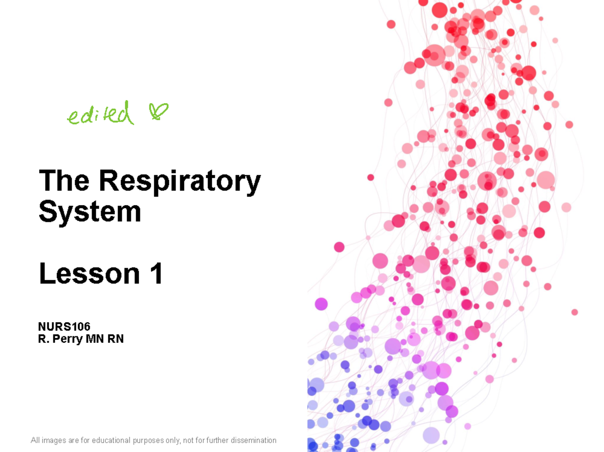 Respiratory- Part 112 - eeeeeeevrrvervrevver - The Respiratory System ...