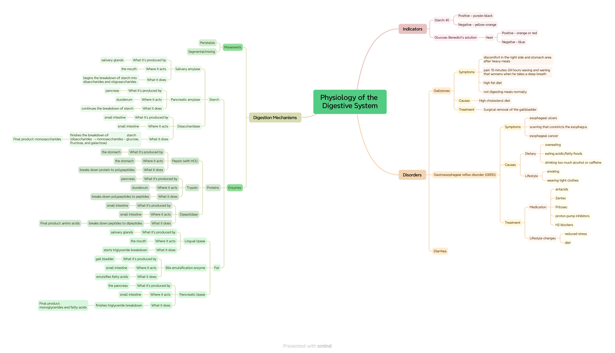 Lab 8: Physiology of the Digestive System Mind Map and Key Concepts ...