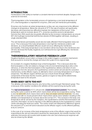 Level 3 physics experiment - Marble rolling down ramp experiment ...