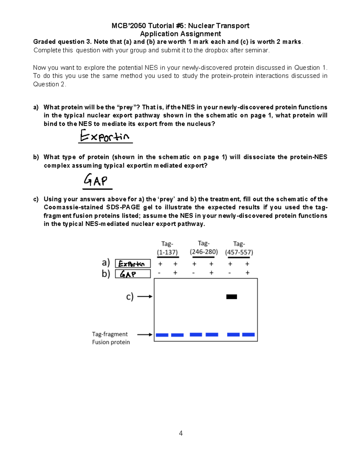 Seminar 5 - Tutorial assignment - MCB*2050 Tutorial # 5 : Nuclear ...