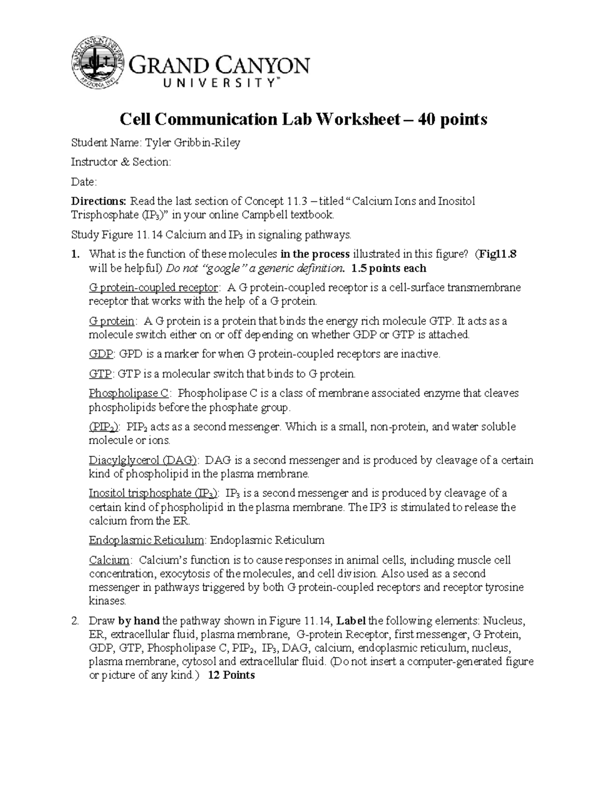 Cell Communication Lab Worksheet (BIOL 101) – Gribbin-Riley - Studocu