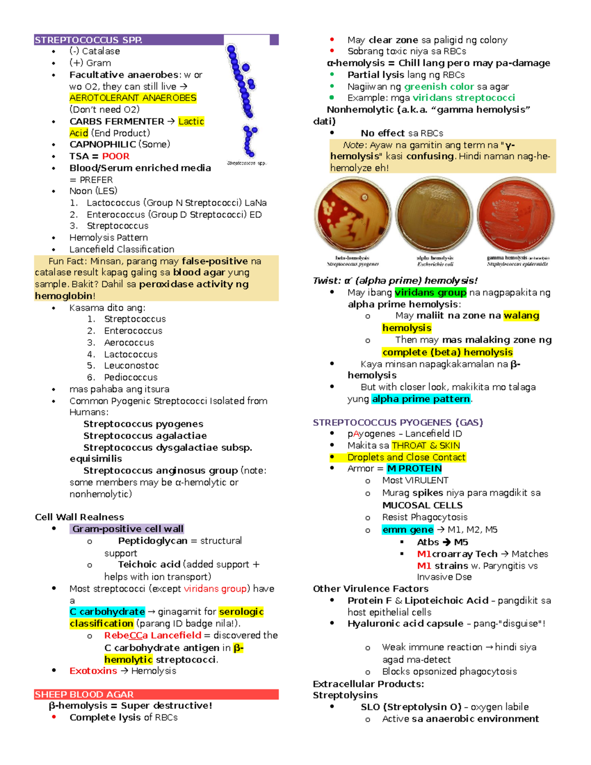 Streptococcus SPP. Overview: Key Characteristics and Clinical ...