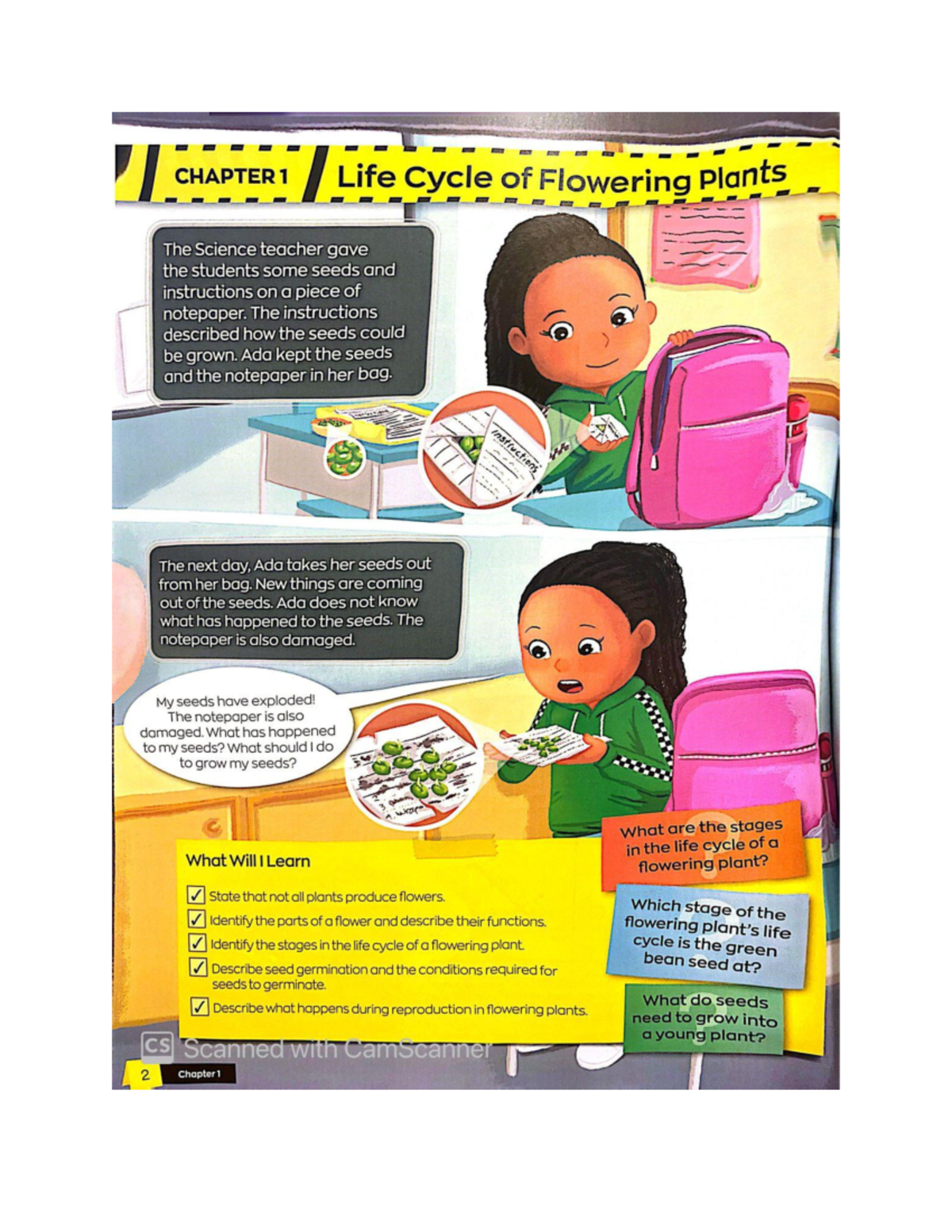 CHAPTER 1: Life Cycle of Flowering Plants - Understanding Growth Stages ...