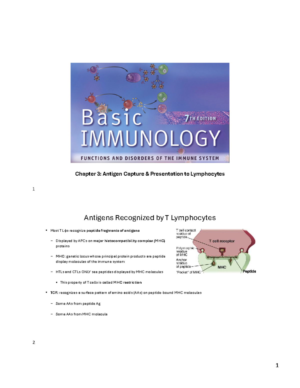 Antigen Capture, Processing, and Presentation in Immunology: MHC ...