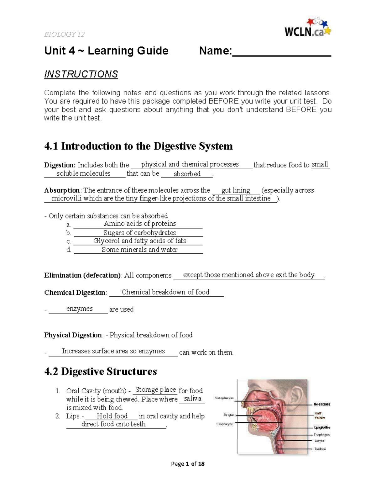 Unit 4 Learning Guide - everything you need to know - Unit 4 ~ Learning ...