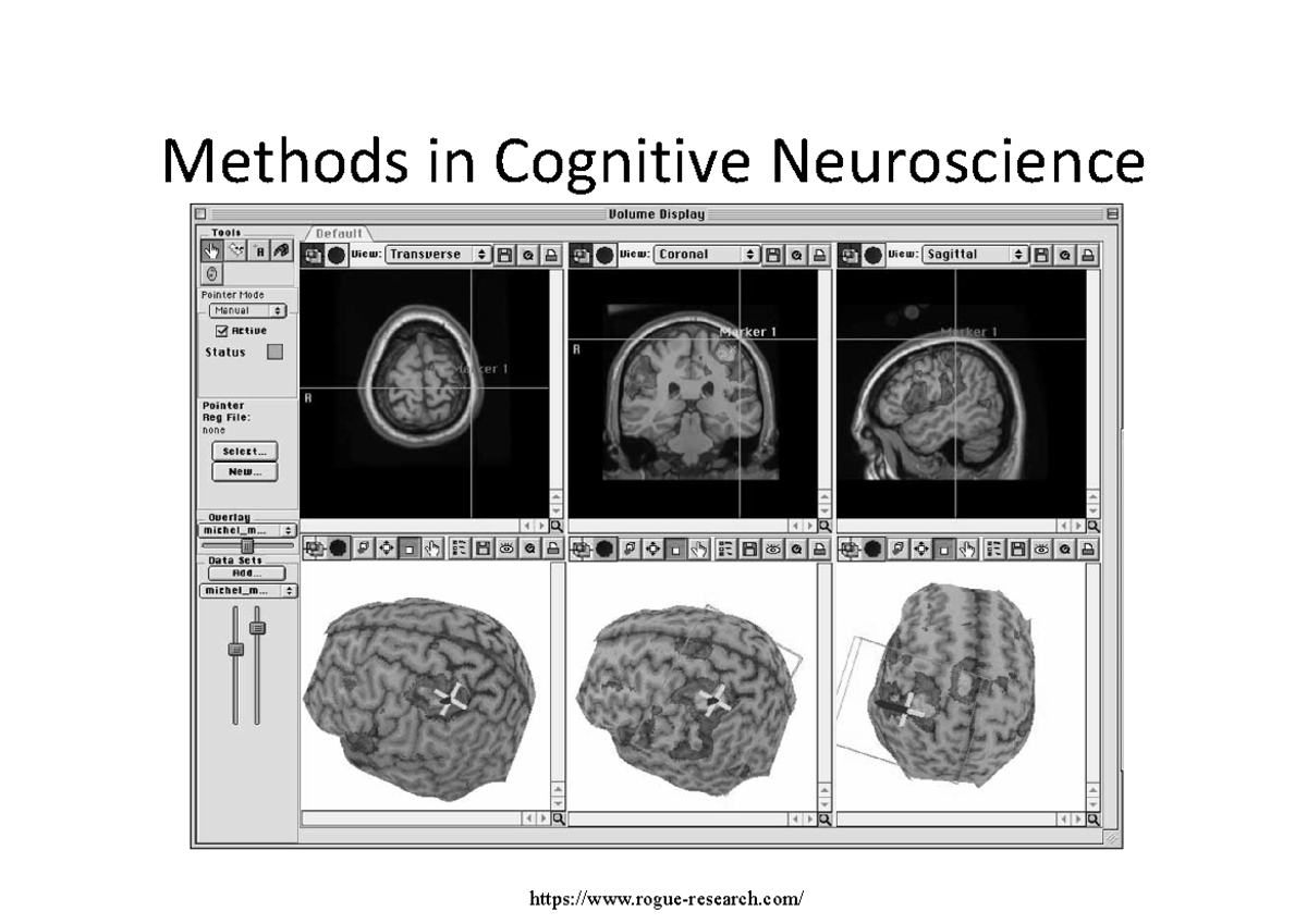Methods and Tools in Cognitive Neuroscience (CNS 101) - Studocu