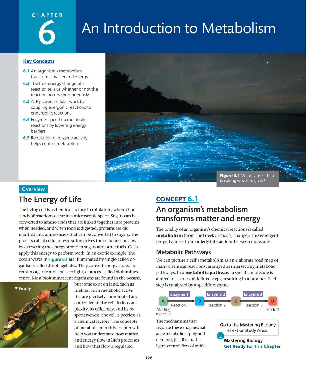 AP Biology Chapter 6: Introduction to metabolism and energy ...