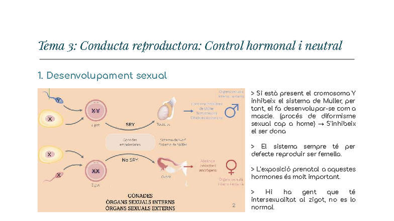 Tema 3: Conducta Reproductora i Control Hormonal - Psicobio II - Studocu