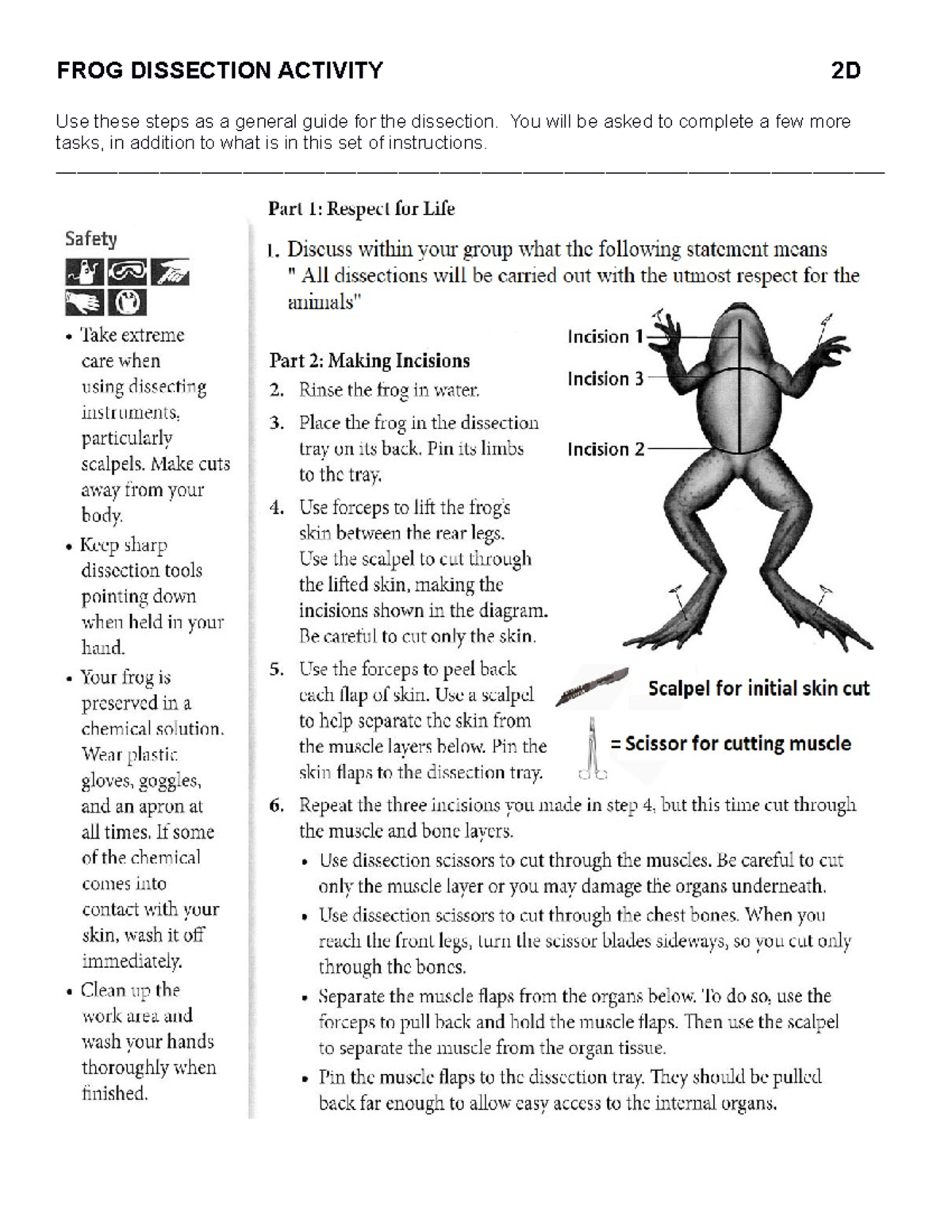 Frog dissection instruction 2D - FROG DISSECTION ACTIVITY 2D Use these ...