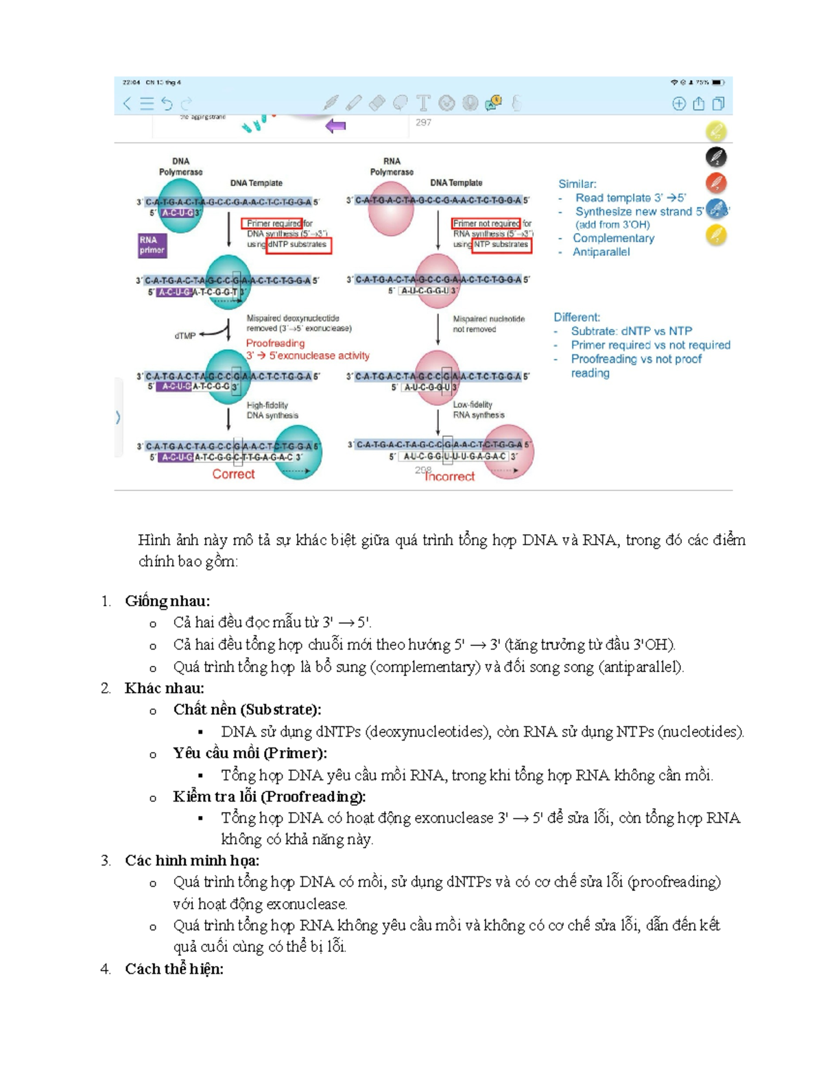 So sánh quá trình tổng hợp DNA và RNA: Điểm giống và khác biệt - Studocu