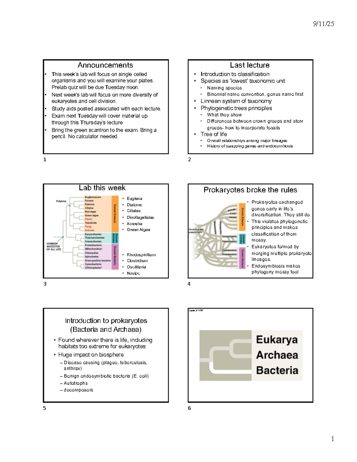 Prokaryotic Life: Taxonomy, Structure, and Metabolism Overview (BIO101 ...