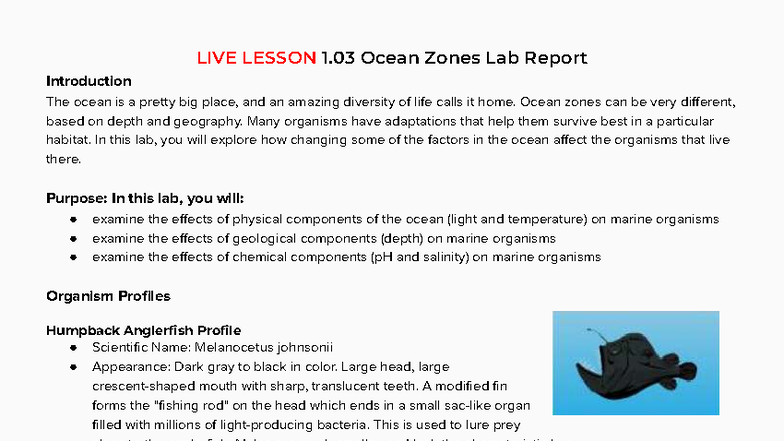 1.03 Ocean Zones Lab Report: Exploring Marine Organisms - Studocu