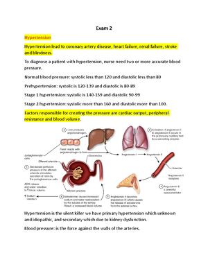 Nursing-21: Med Math Unit Conversions for Nursing Students - Studocu