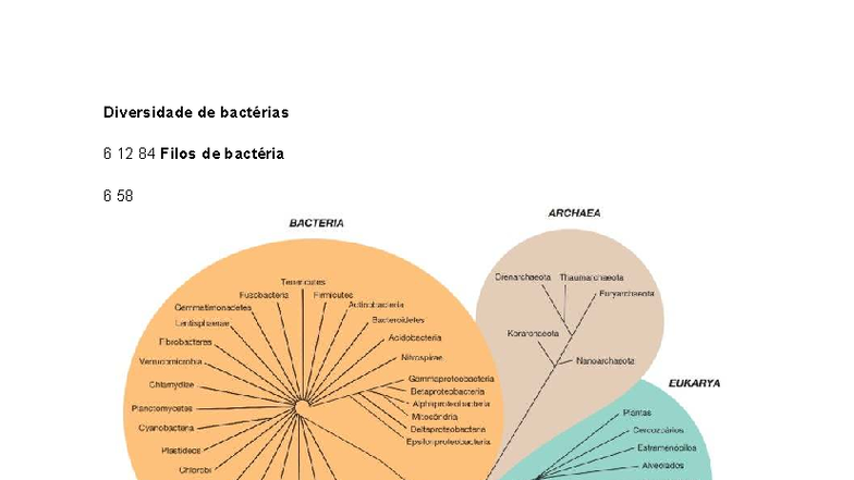 Diversidade de Bactérias: Filo Proteobactéria e Firmicutes (08 PT1 ...