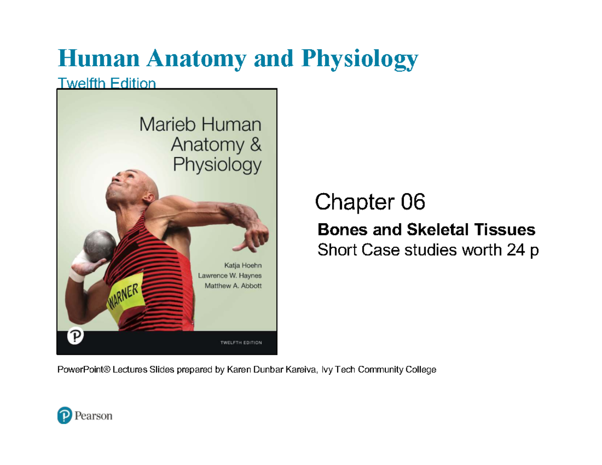 BIO210 Ed. 12: Chapter 6 - Bones & Skeletal Tissues Lecture Notes - Studocu
