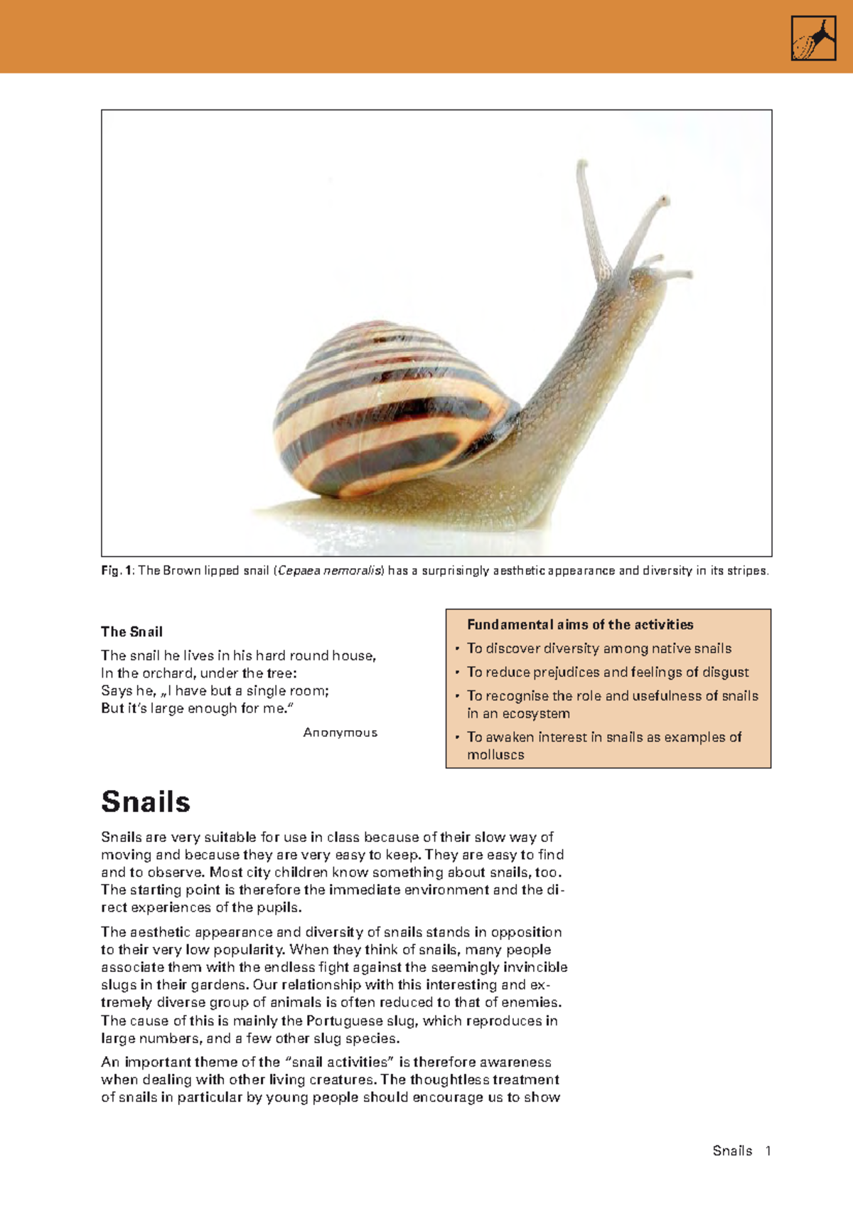 German Fact Sheet - For experimental research - Snails 1 Snails Snails ...