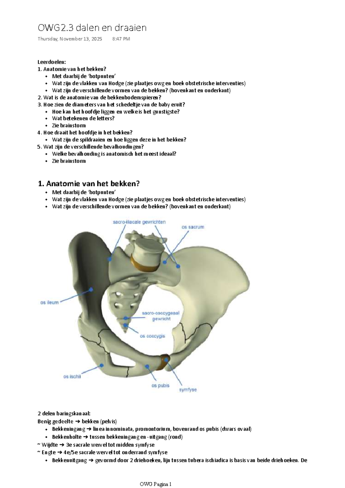 OWG2.3 Anatomie van het Bekken en Bevalhoudingen - Studeersnel