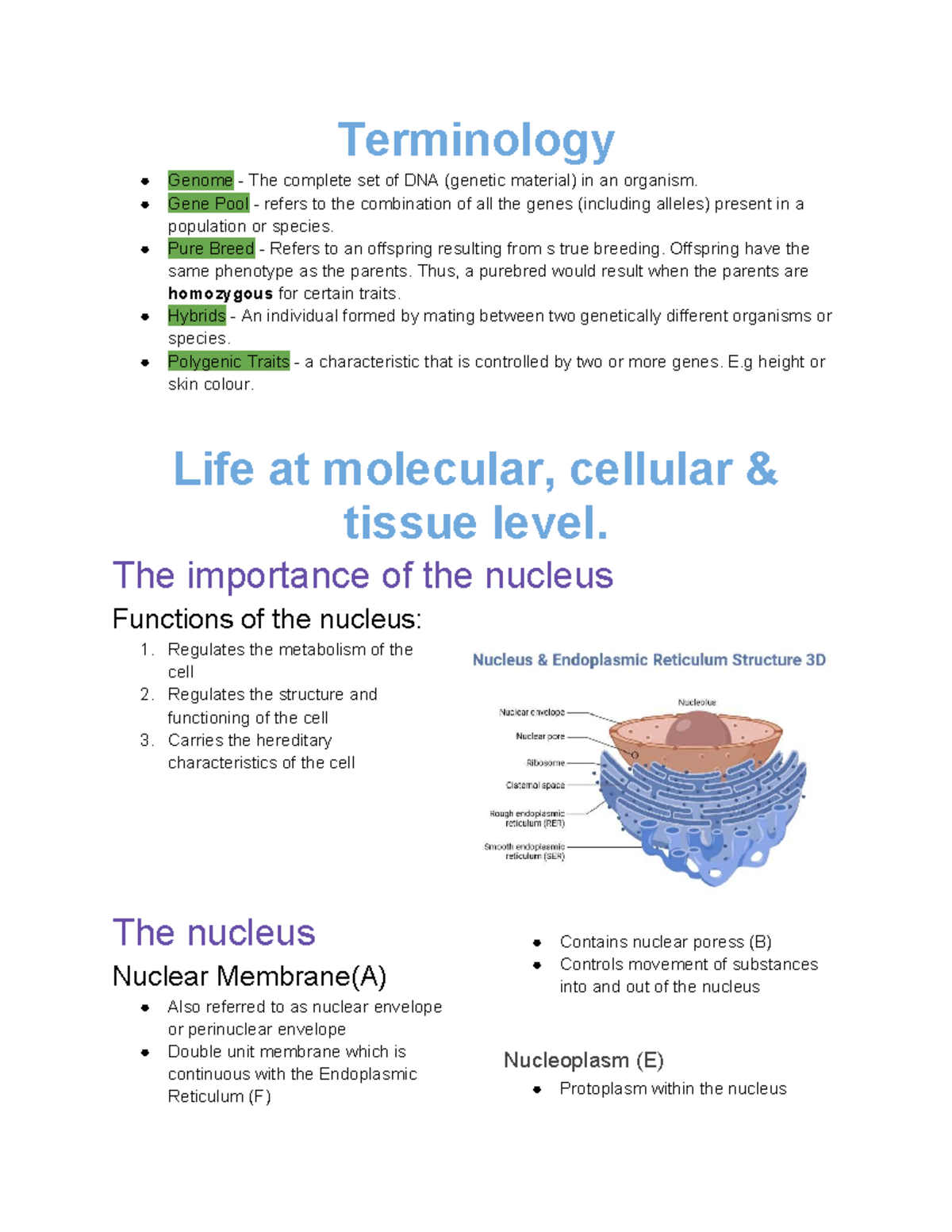 DNA & Genetics 2 - Comprehensive DNA Notes and Terminology - Studocu