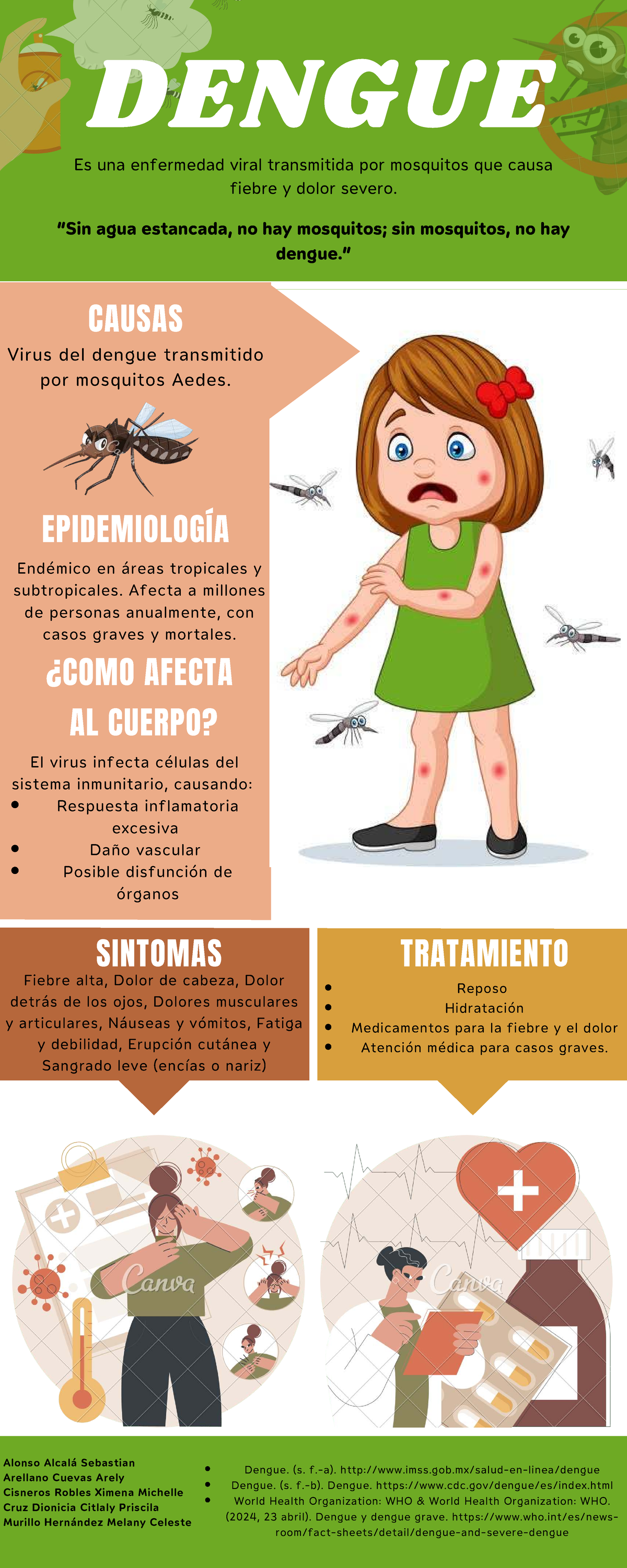 Infografía Anatomía Cuerpo Humano Ilustrado Multicolor - DENGUE CAUSAS ...