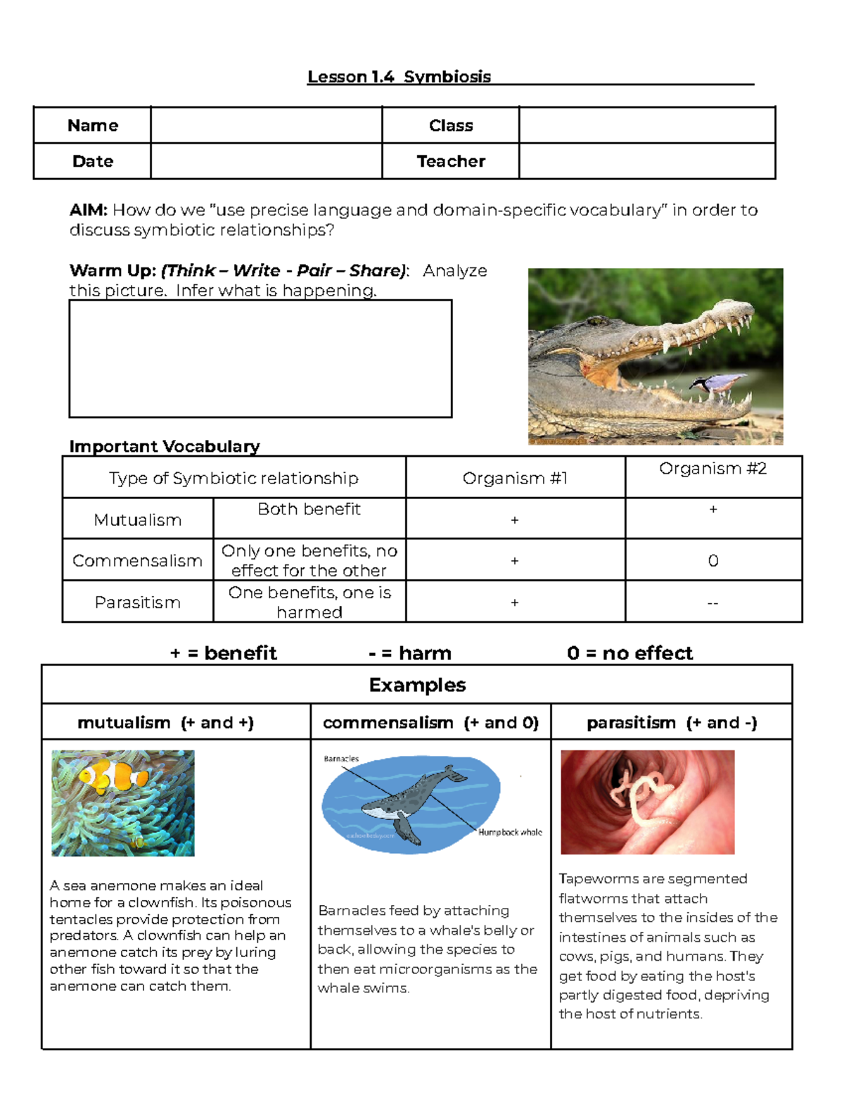 Symbiosis - Lesson 1 Symbiosis Name Class Date Teacher AIM: How do we ...