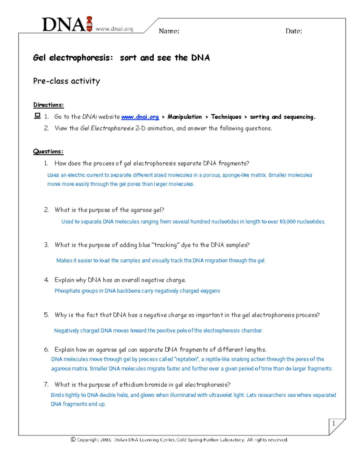 BIOMAN: Enzymatic Game Study Guide and Questions - Studocu