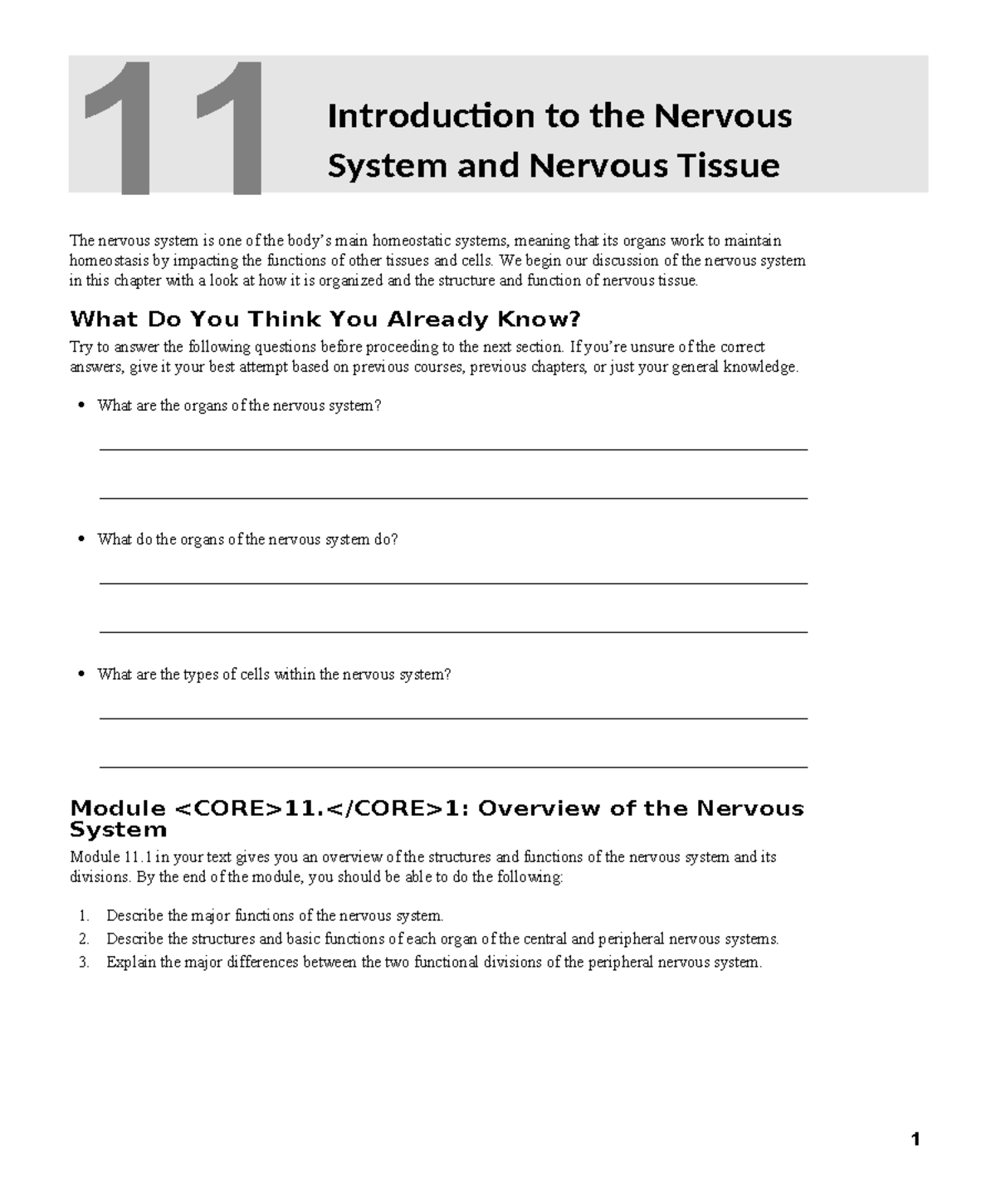 Chapter 11: Active Learning Workbook on the Nervous System - Studocu
