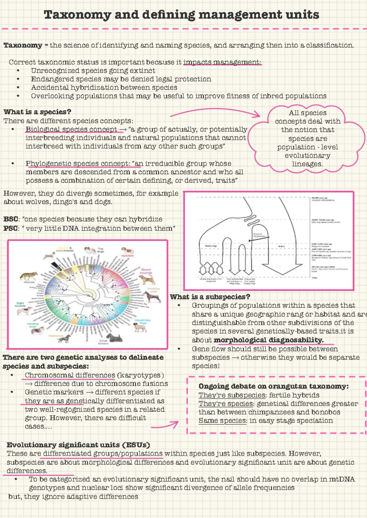 Taxonomy & Management Units: Understanding Species Concepts - Studeersnel