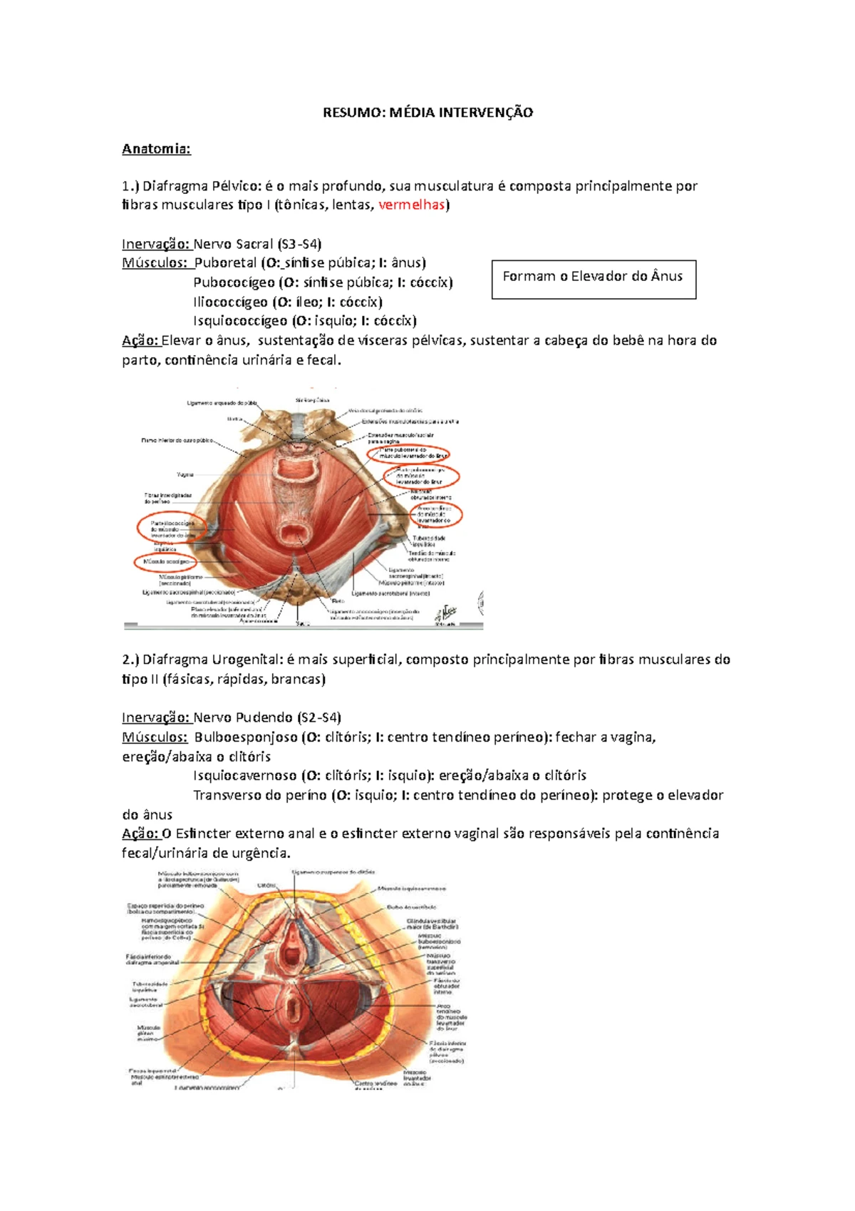 PPS - Avaliação Funcional com Escala de Desempenho Paliativo - Studocu