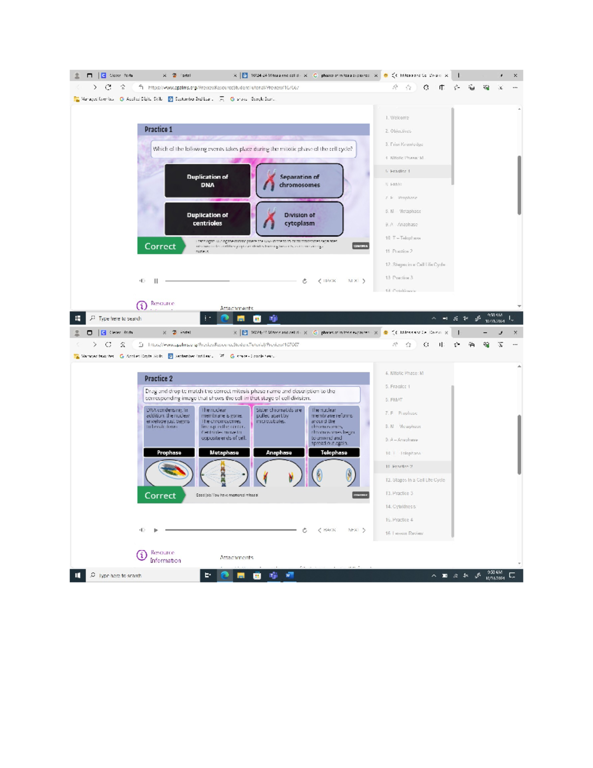 Cpalms Mitosis and Cell Division Guide: Stages & Phases Explained - Studocu