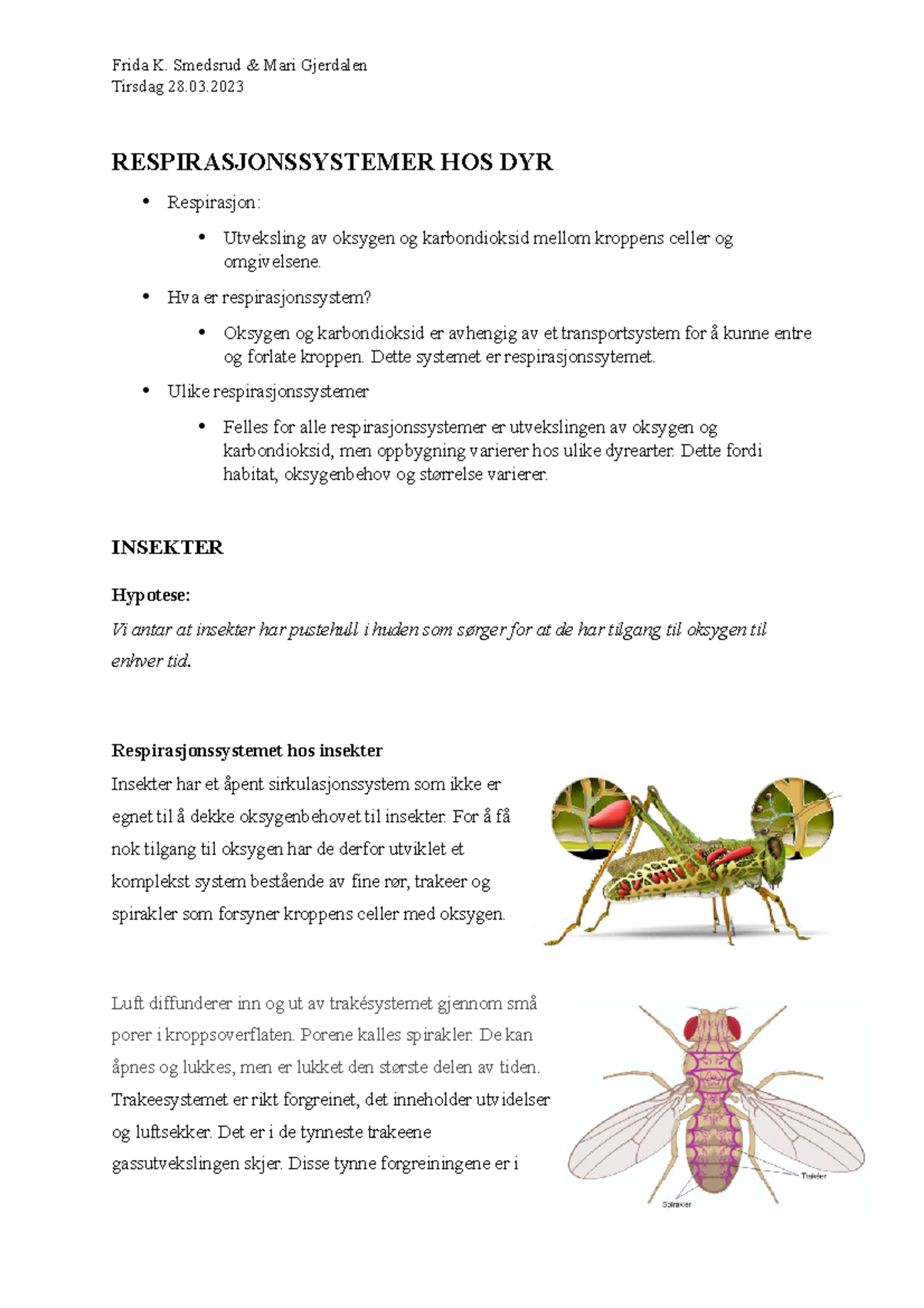 Respirasjonssystemer hos insekter, fugler, leddormer og fisk - Oversikt ...