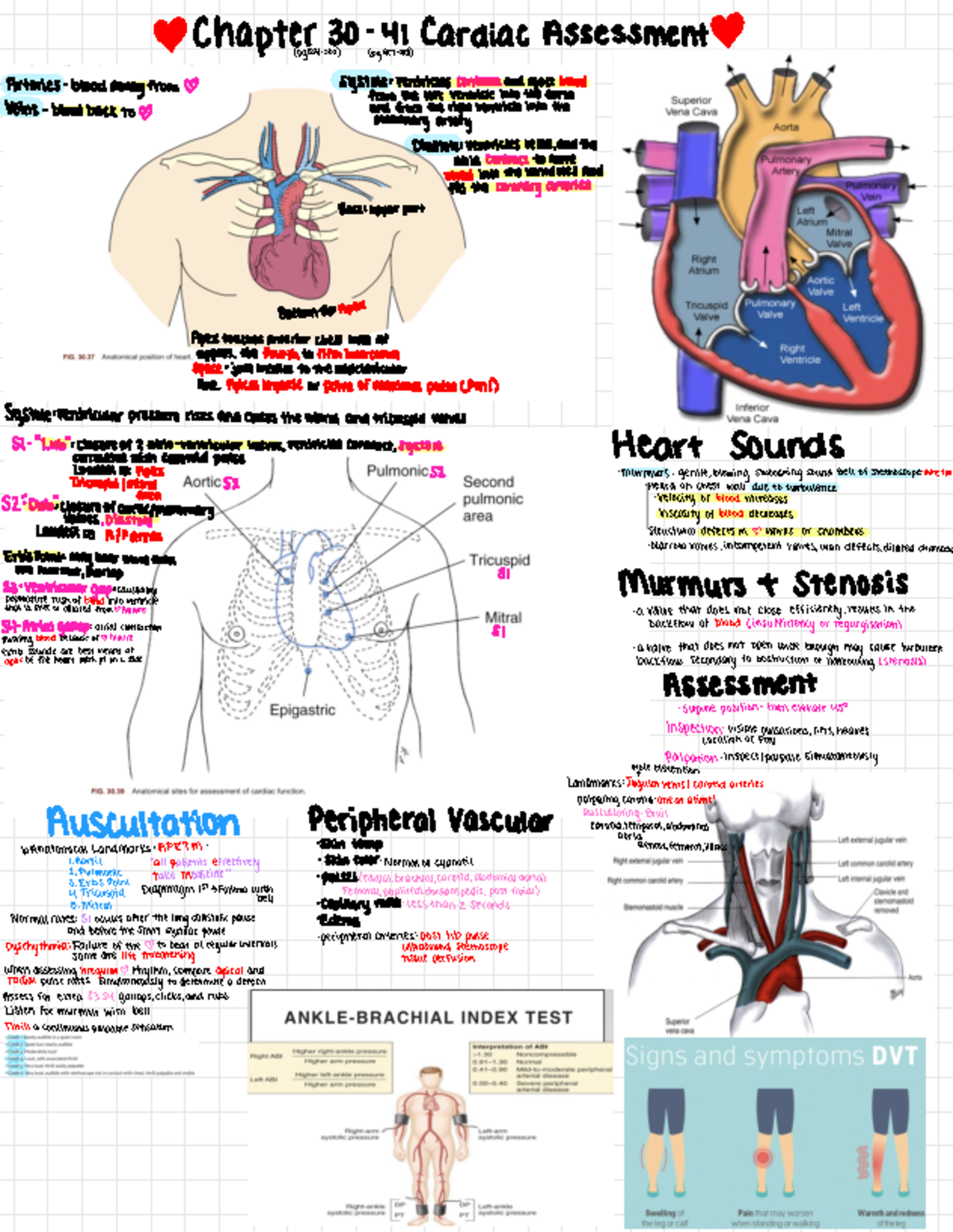 Cardiac assessment - notes from powerpoint and textbook in one place ...