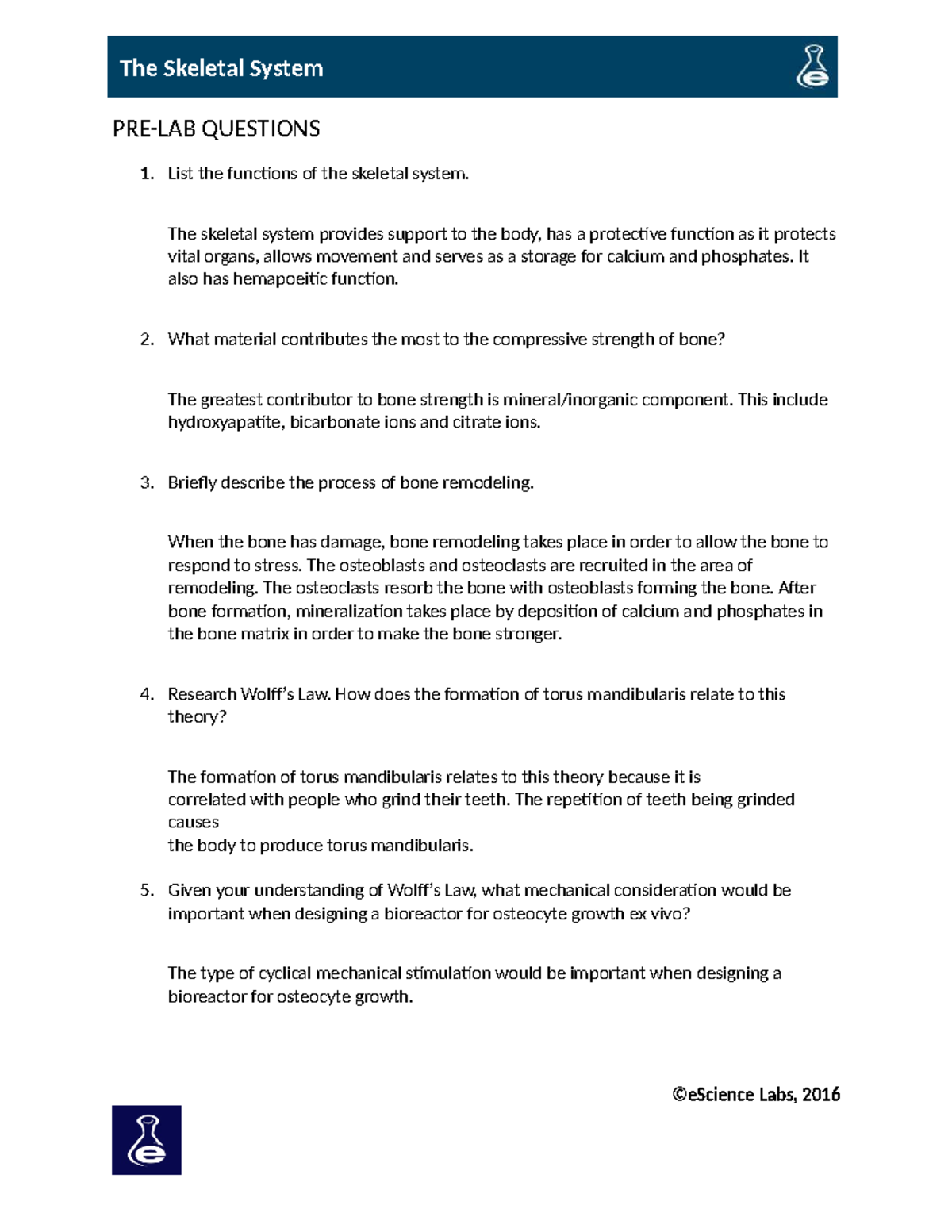 A P Lab 6 - The Skeletal System: Functions, Structures, and Experiments ...