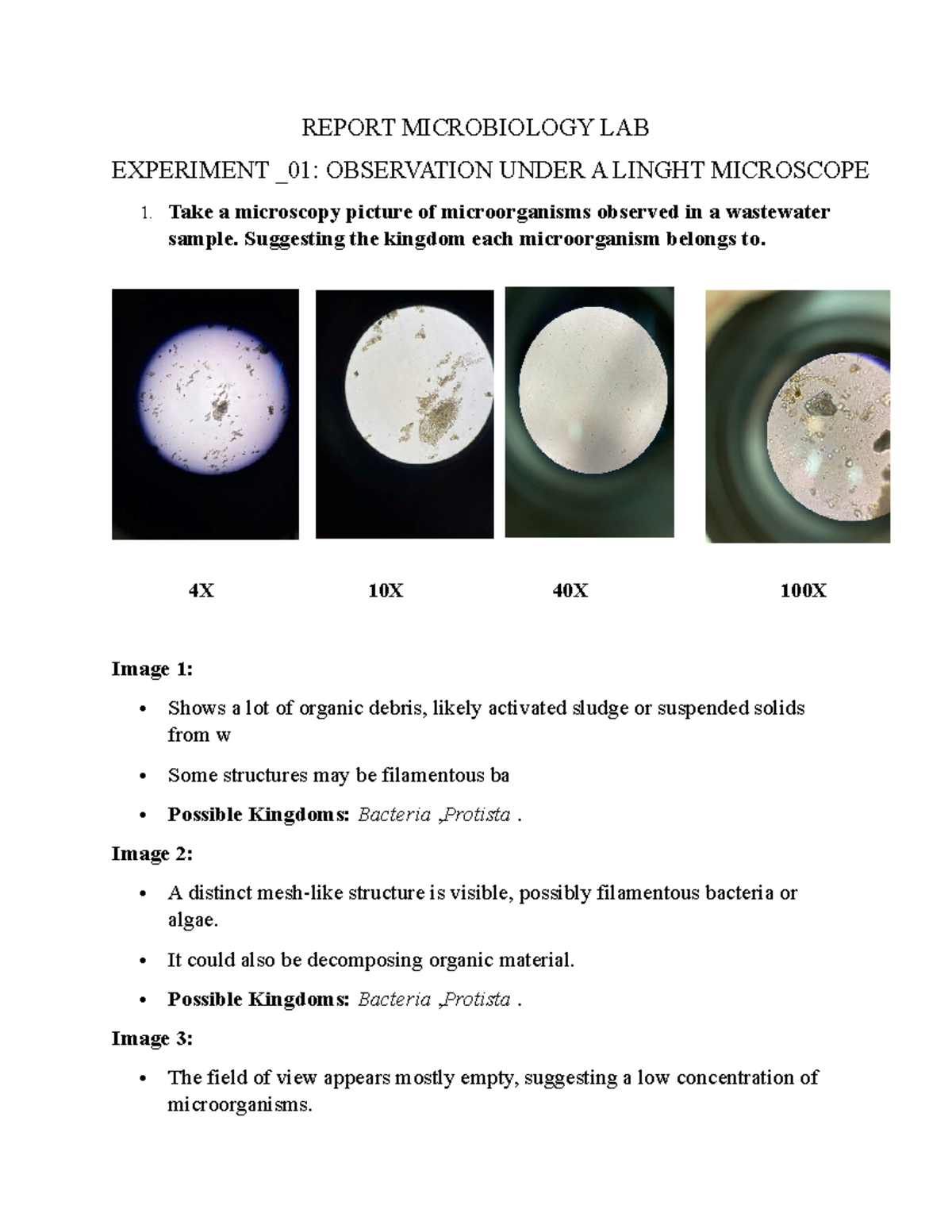 Microbiology Lab Report 01: Observations Under a Light Microscope - Studocu