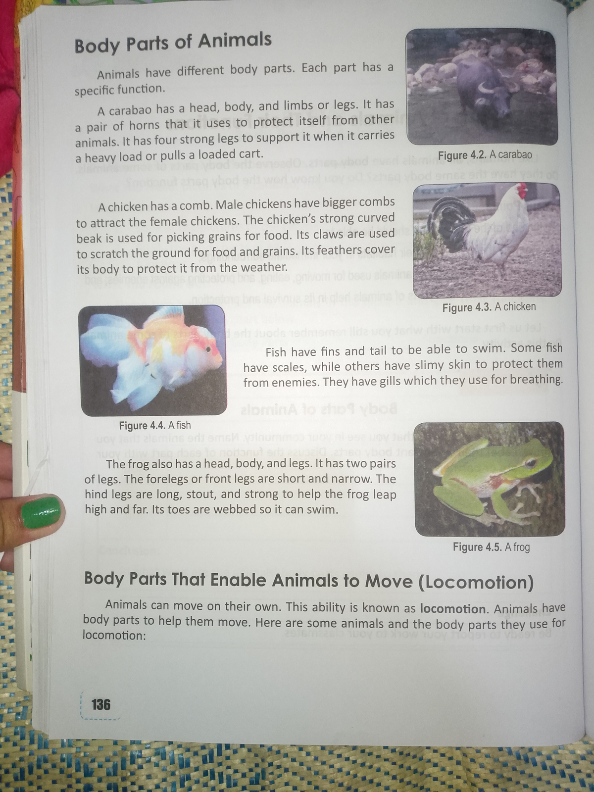 Ppt Science - Lecture on Animal Body Parts and Locomotion - Studocu