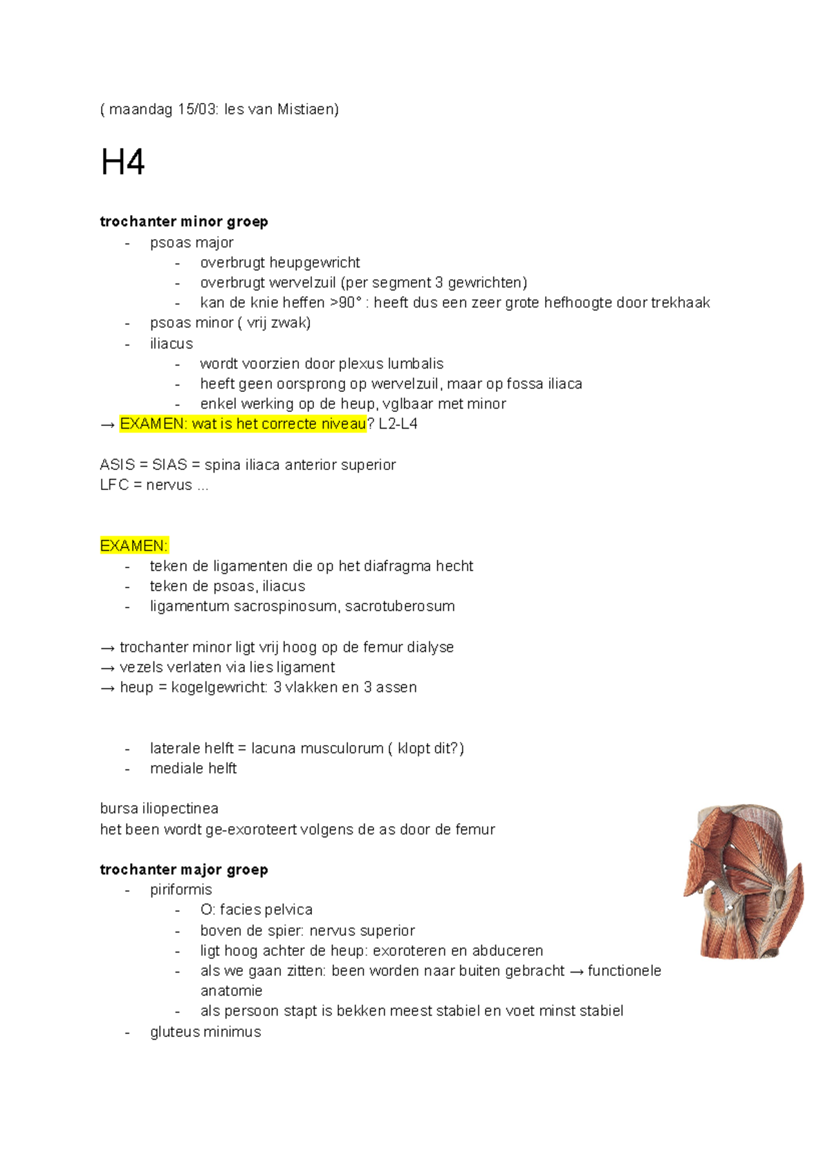 Les 6 theorie - spieren van de heup - ( maandag 15/03: les van Mistiaen ...