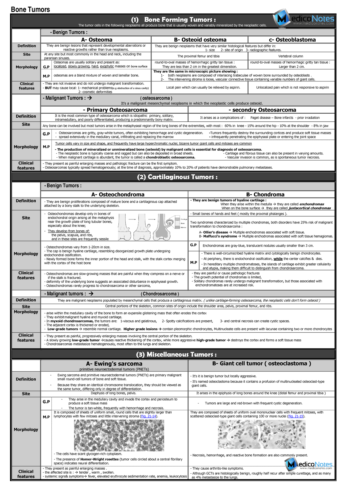 Pathology of Bone Tumors: A Comprehensive Overview (Course Code: PATH ...